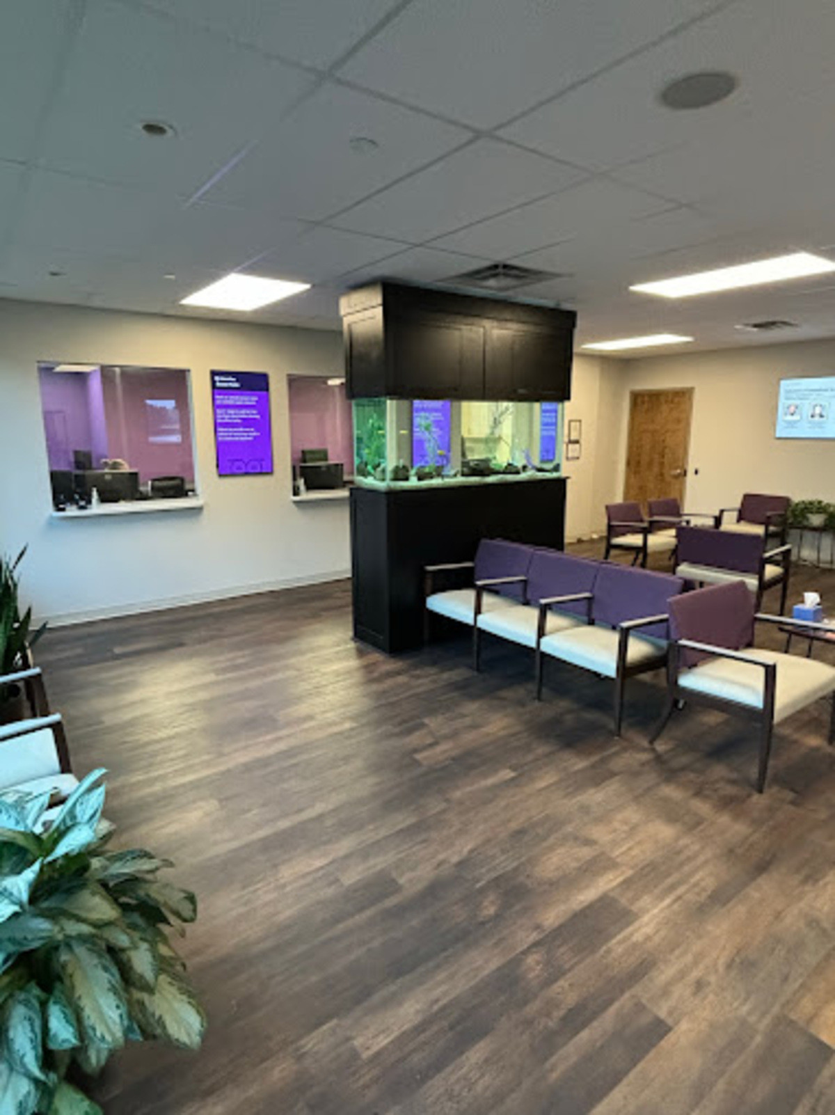 Athena Care Reviews, Costs, Program Details & Rating