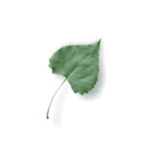 Meridell Achievement Center Reviews, Costs, Program Details & Rating