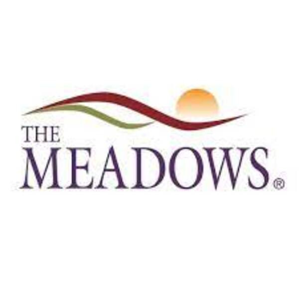 The Meadows Reviews, Costs, Program Details & Rating