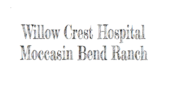 Willow Crest Hospital Reviews, Costs, Program Details & Rating
